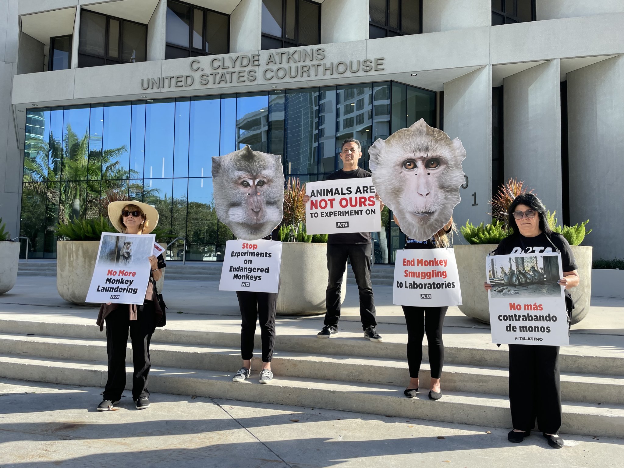 Updates: Campaign to Shut Down the Violent Monkey-Importation Industry ...