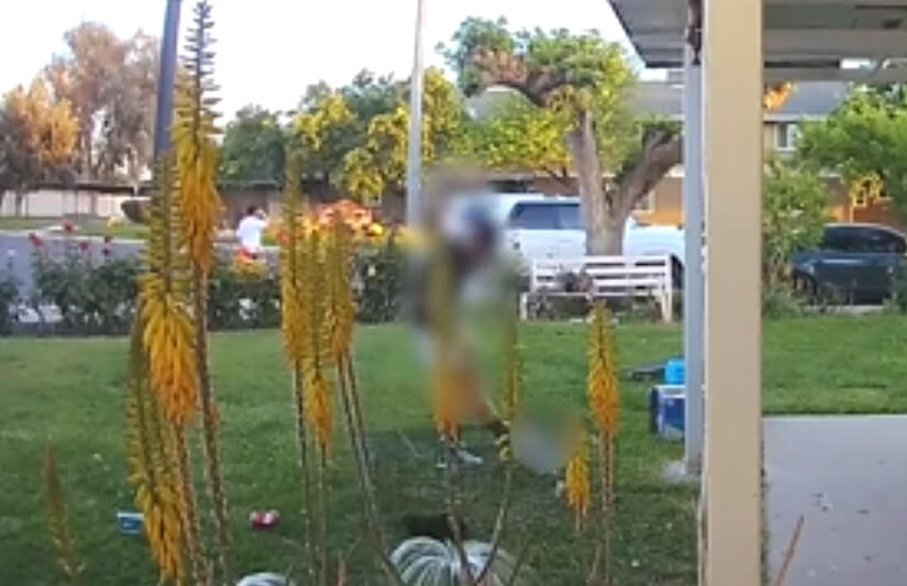 Humane Education Can Prevent Killings Like One in Reedley | PETA