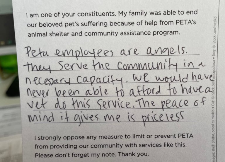 5 Ways We Help Animals in Our Community | PETA