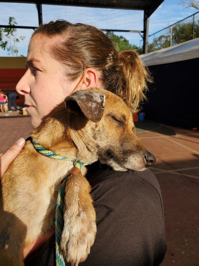 From Mexico to Virginia on a Broken Leg: Meet Gordon | PETA