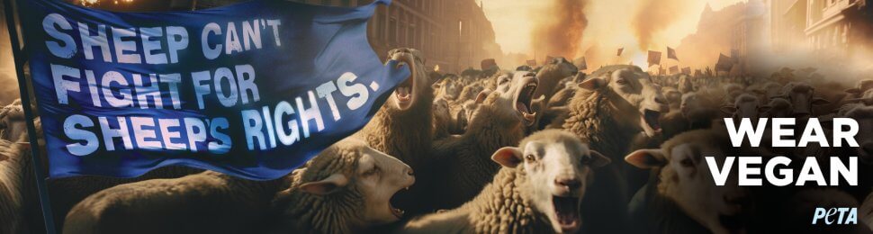 Media Center | PETA.org