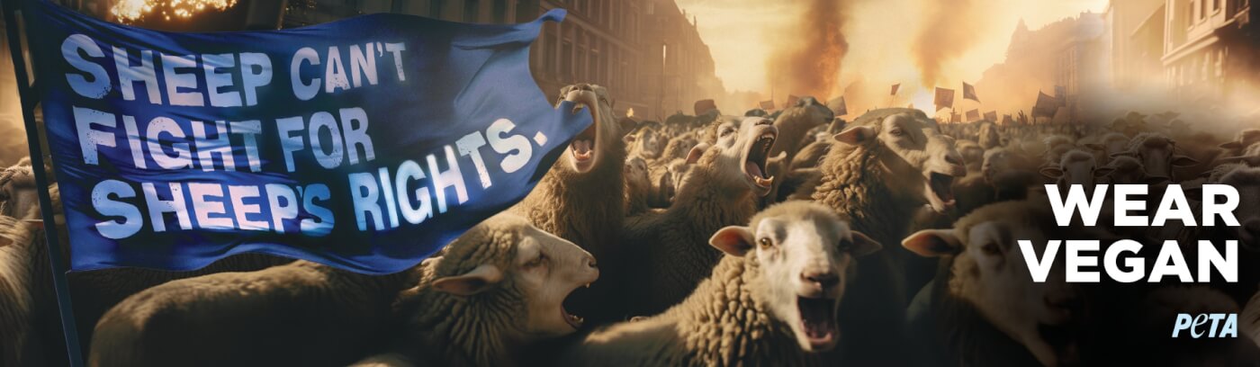 Media Center | PETA.org