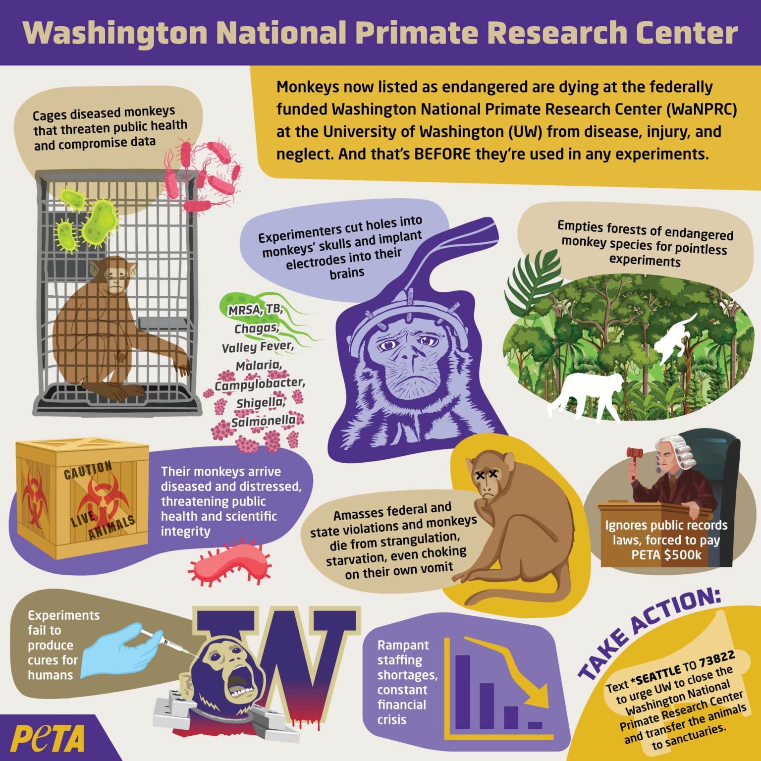 PETA Scientists Score One for Kindness as UW Panel Nixes New Radiation ...