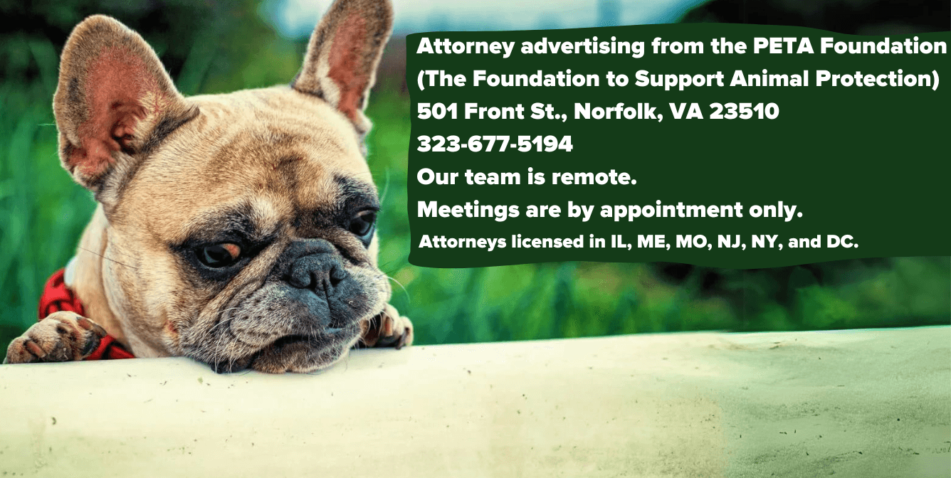 People for the Ethical Treatment of Animals (PETA)