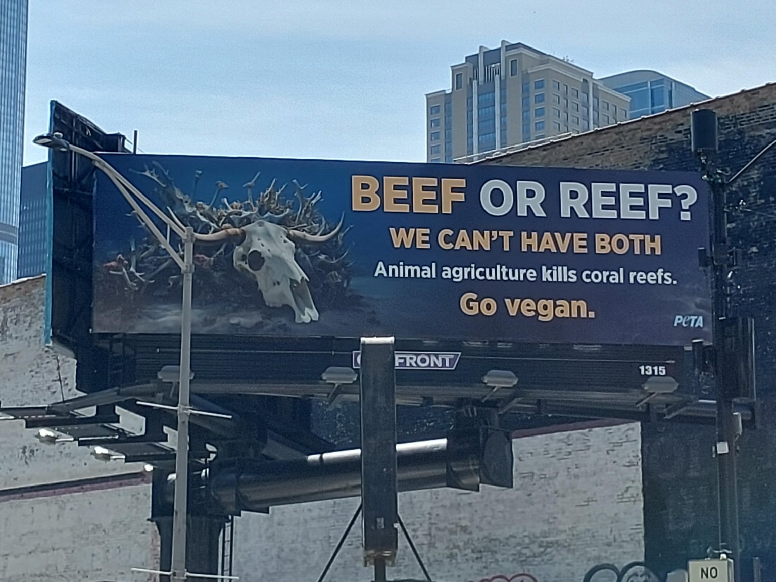 Beef and Coral Reefs Are Linked, Bold Ad Reveals | PETA