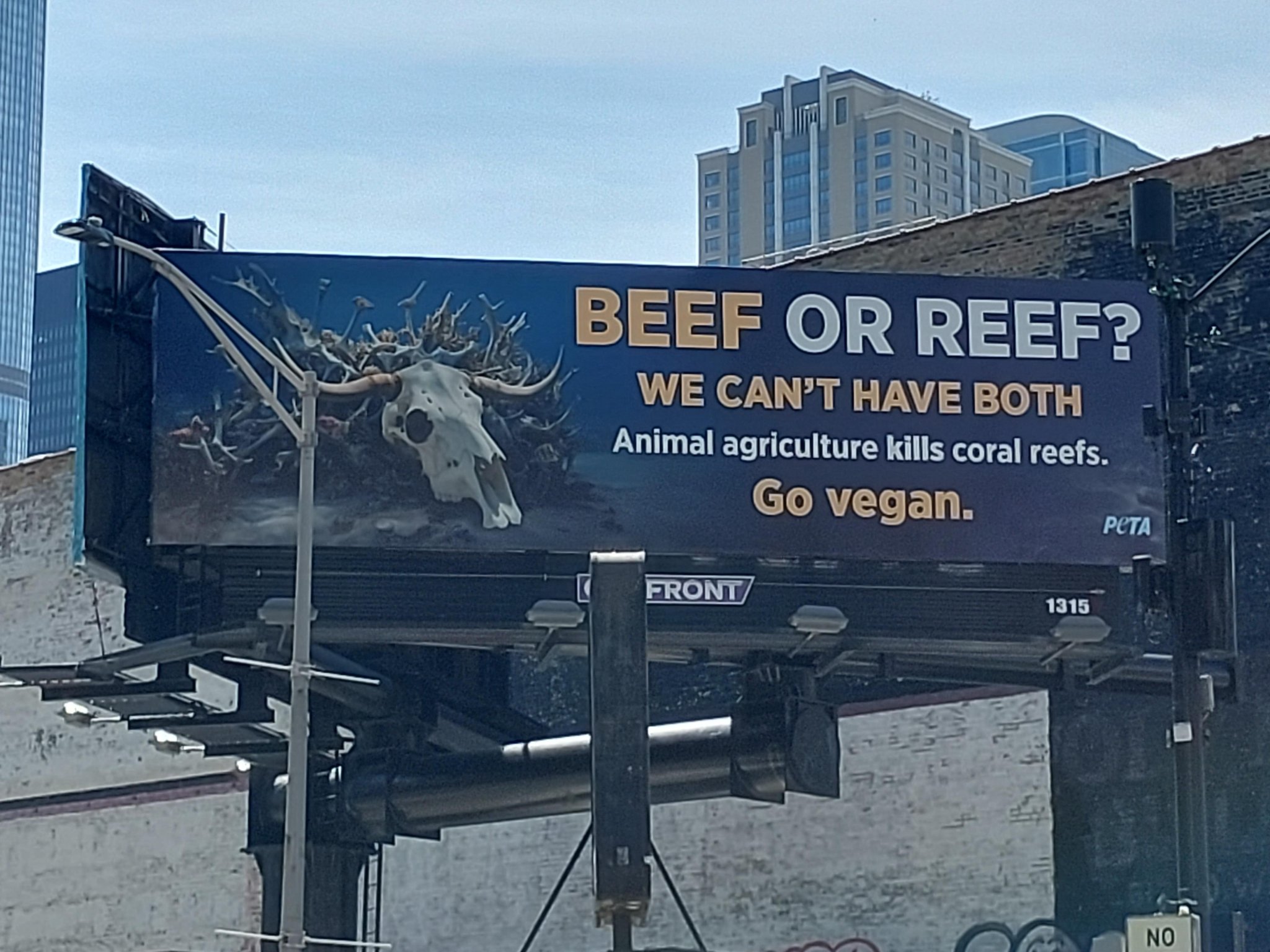 Beef and Coral Reefs Are Linked, Bold Ad Reveals | PETA