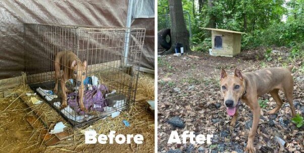 People for the Ethical Treatment of Animals (PETA)