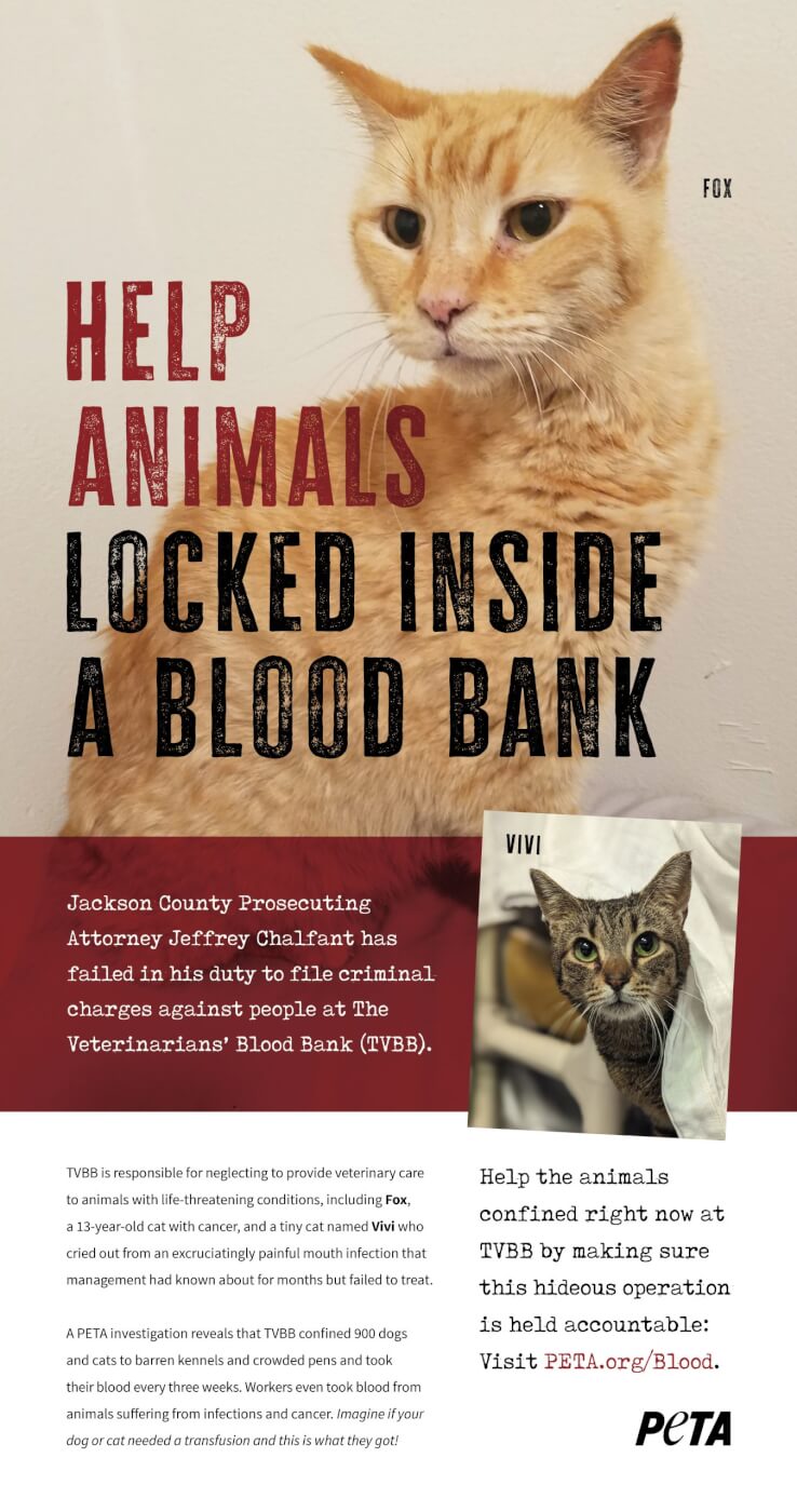 Contact PETA's Media Department | PETA