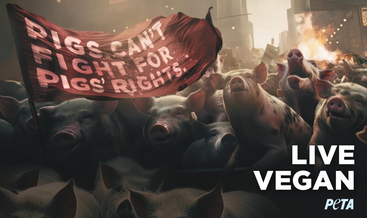 Billboard | PSAs | Media Center | PETA