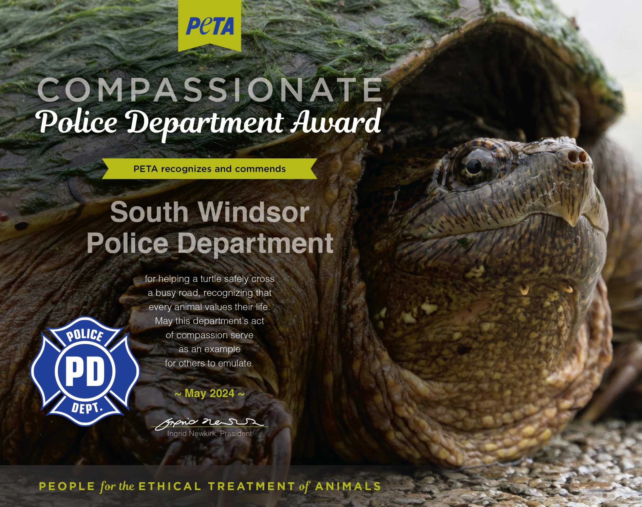 Local PD Nabs Award for Turtle Rescue; PETA Shells Out Tips for Moving ...