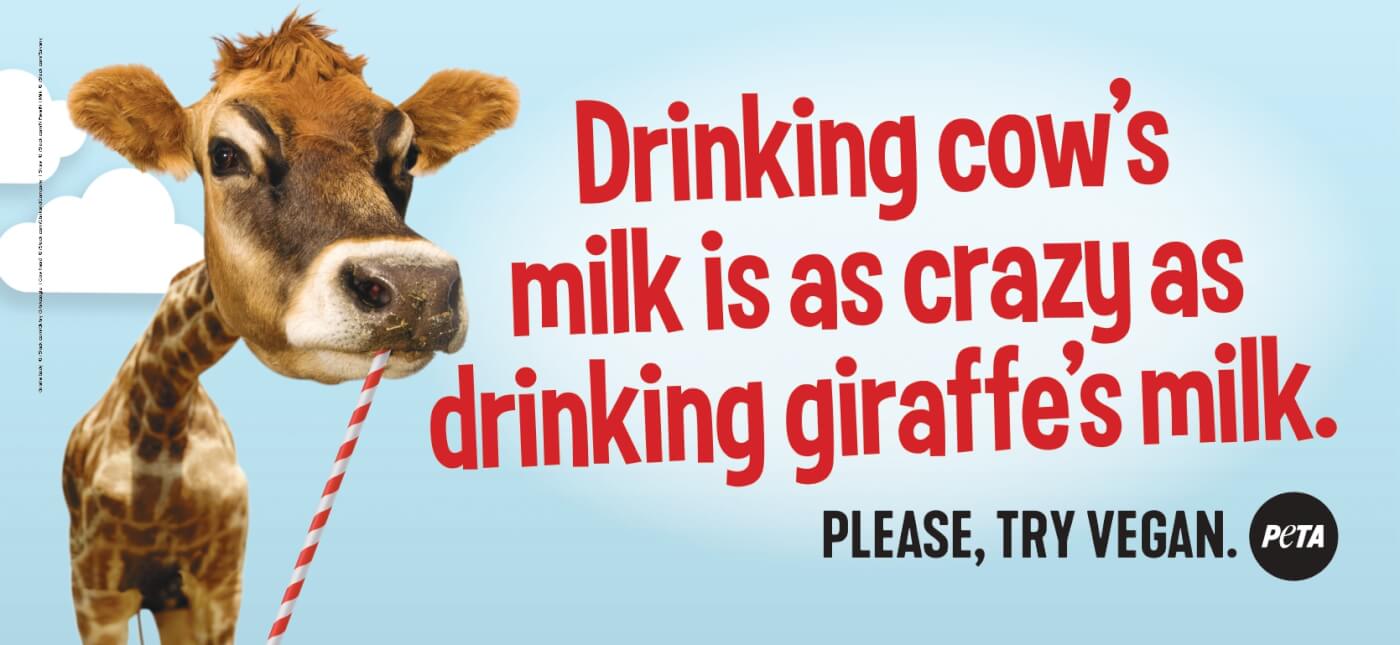 Billboard | PSAs | Media Center | PETA