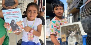 As Cruelty Cases Rise, PETA Fights for Kids’ Hearts | PETA