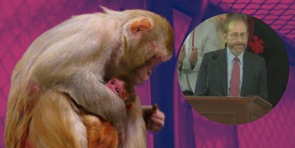 People for the Ethical Treatment of Animals (PETA)