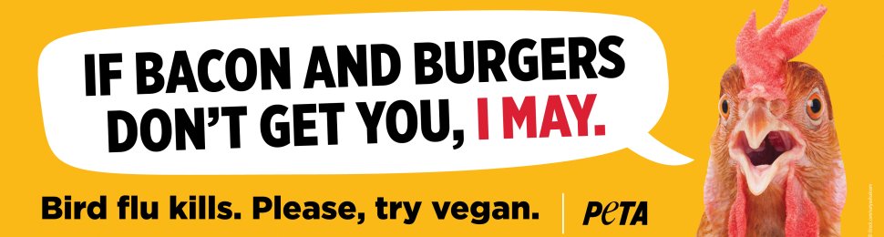 Media Center | PETA.org