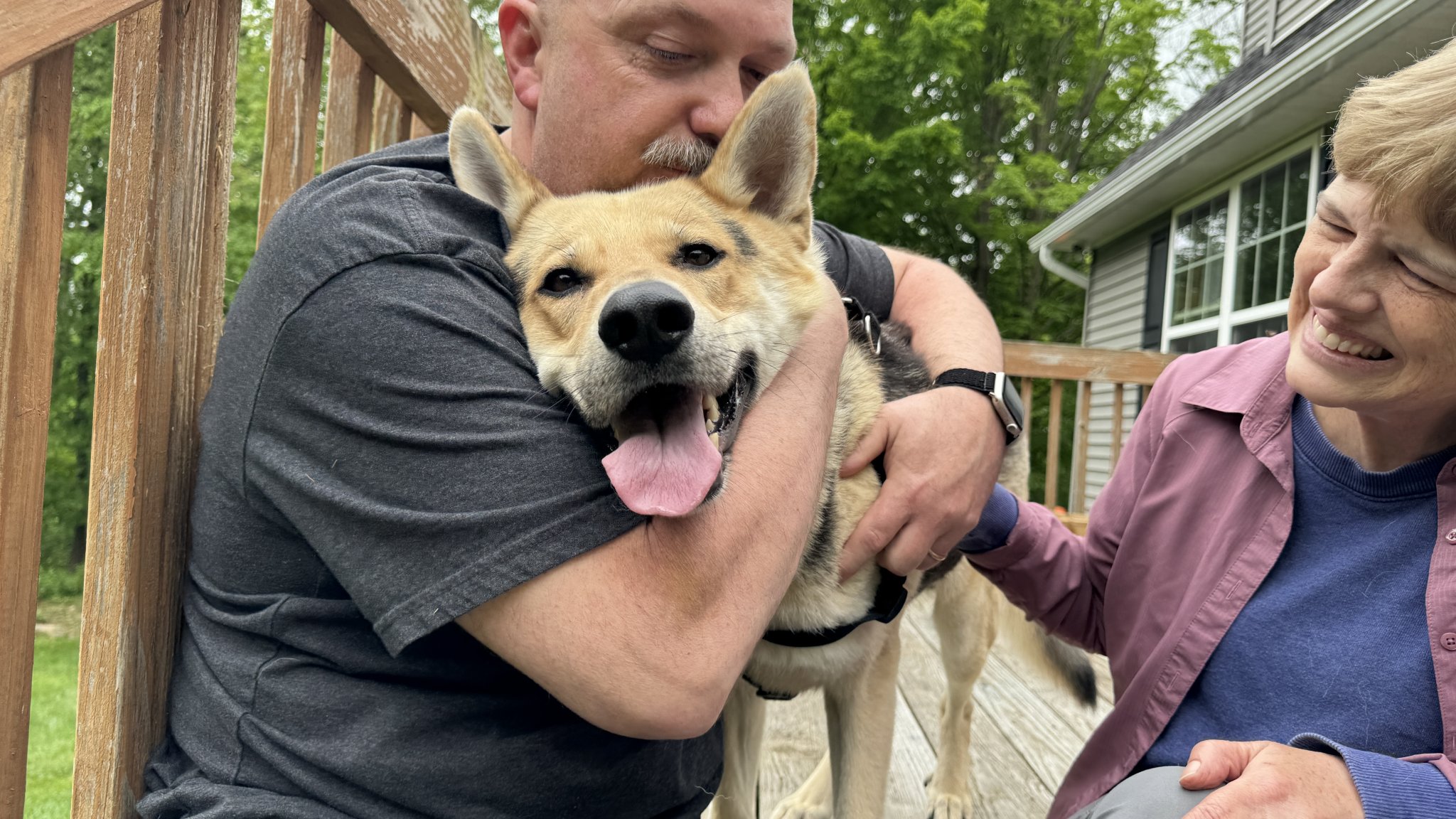 Video: PETA Rescued This Dog Kept Outside 24/7 | Blog