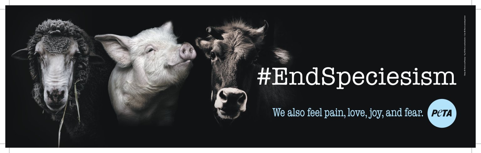 Will Meat Processing Plant Become an Animal Empathy Museum? PETA Seeks ...