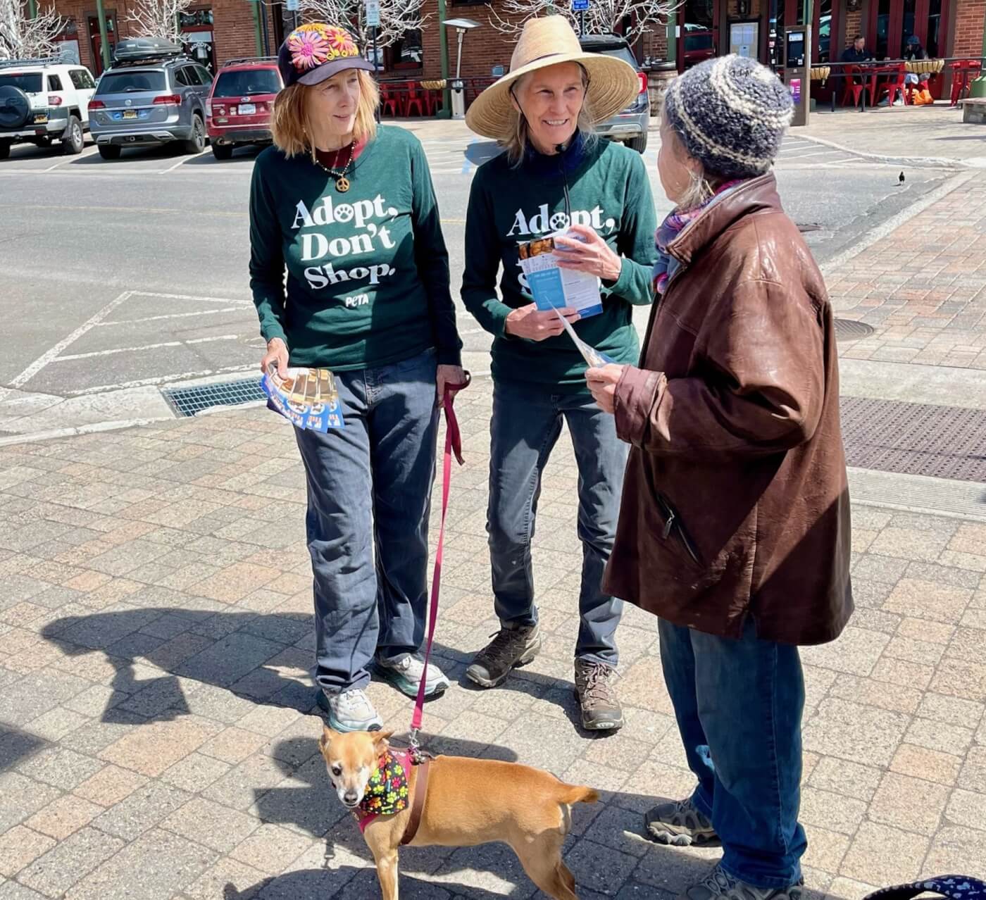 ‘What Can I Do to Help Animals?’ LOTS! | PETA