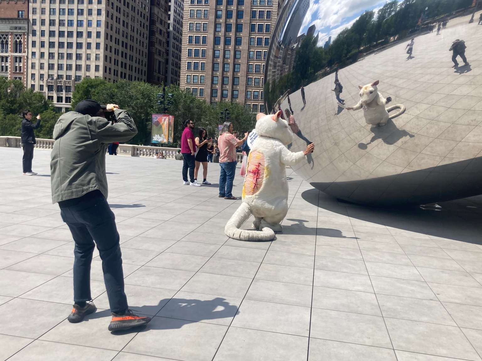 PETA Crashes the Trump-Harris Debate in Philadelphia | Photos