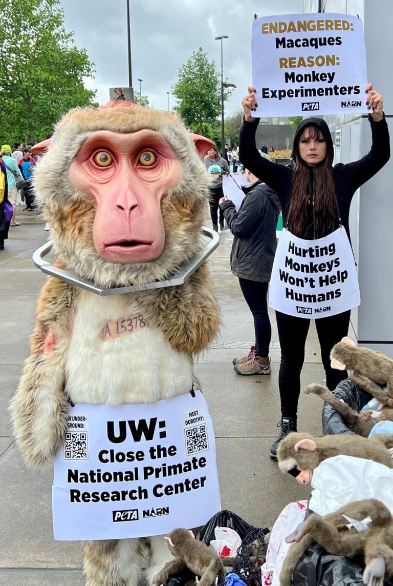 UW-Seattle Workers Allege Fears of Reporting Animal Welfare Violations ...