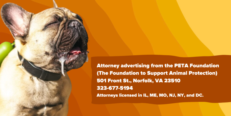 People for the Ethical Treatment of Animals (PETA)