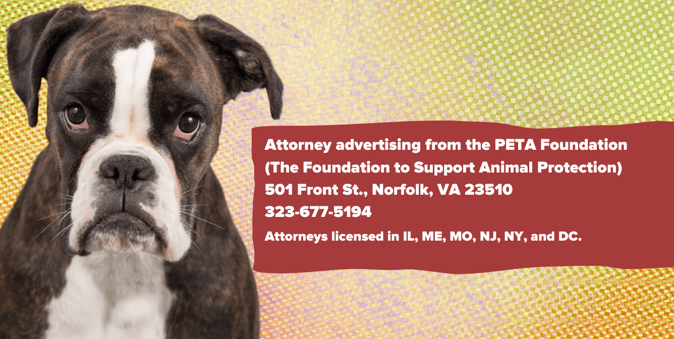 People for the Ethical Treatment of Animals (PETA)