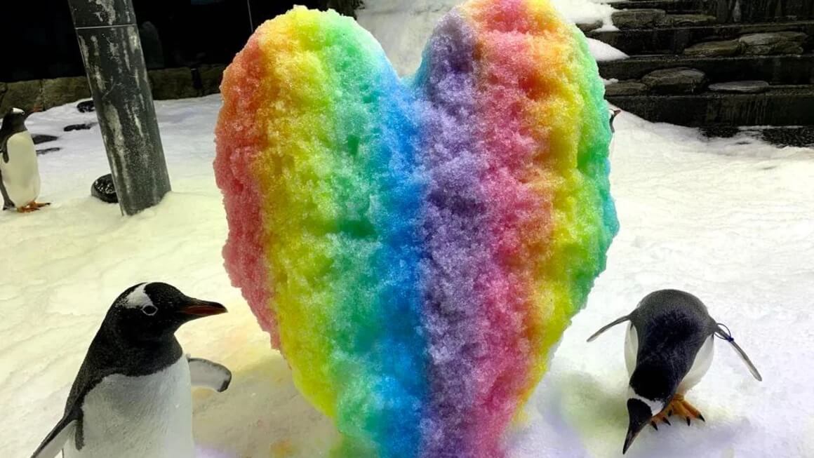 Queer Icon Sphen the Penguin Dies at Age 11 | PETA