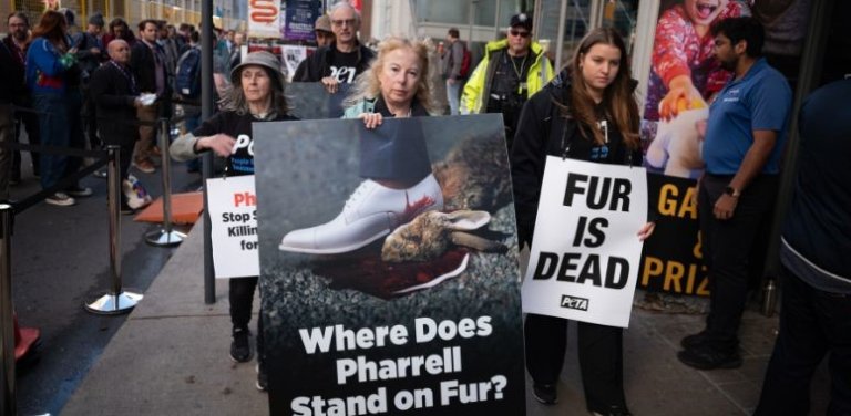 People for the Ethical Treatment of Animals (PETA)