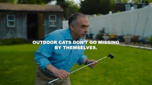 El Paso Cat Killing Prompts New PETA Video: ‘Cats Don’t Go Missing by ...