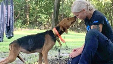 Work at PETA or the PETA Foundation | PETA