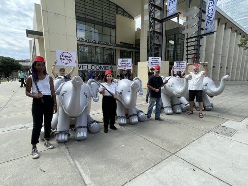 What Does PETA Do to Help Animals in Shrine Circuses? | Blog