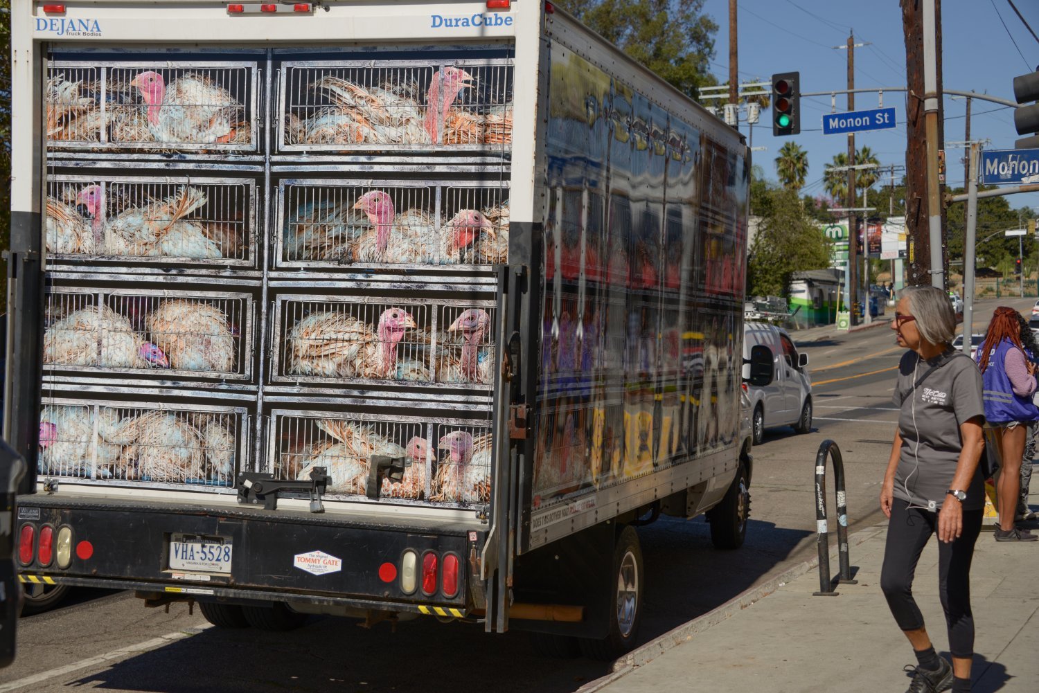 Photos: ‘Hell on Wheels’ Turkey Truck Ruffles Feathers | PETA