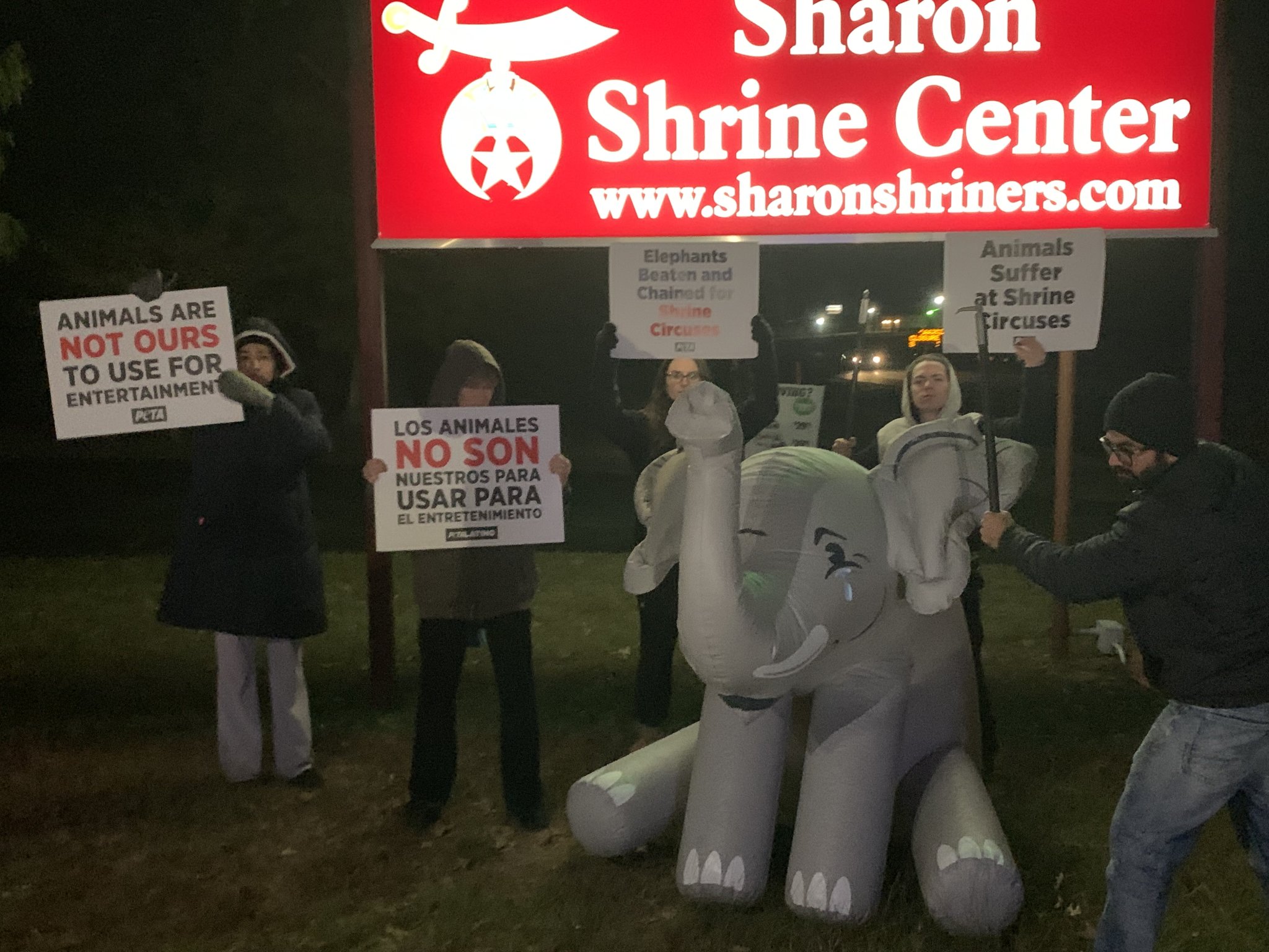 What Does PETA Do to Help Animals in Shrine Circuses? | Blog