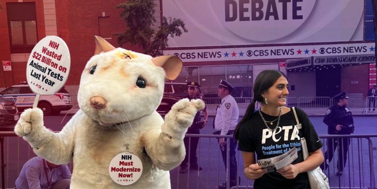 PETA Crashes the Trump-Harris Debate in Philadelphia | Photos