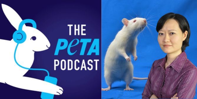35 Inspiring Rescue Stories From 35 Years of PETA | PETA