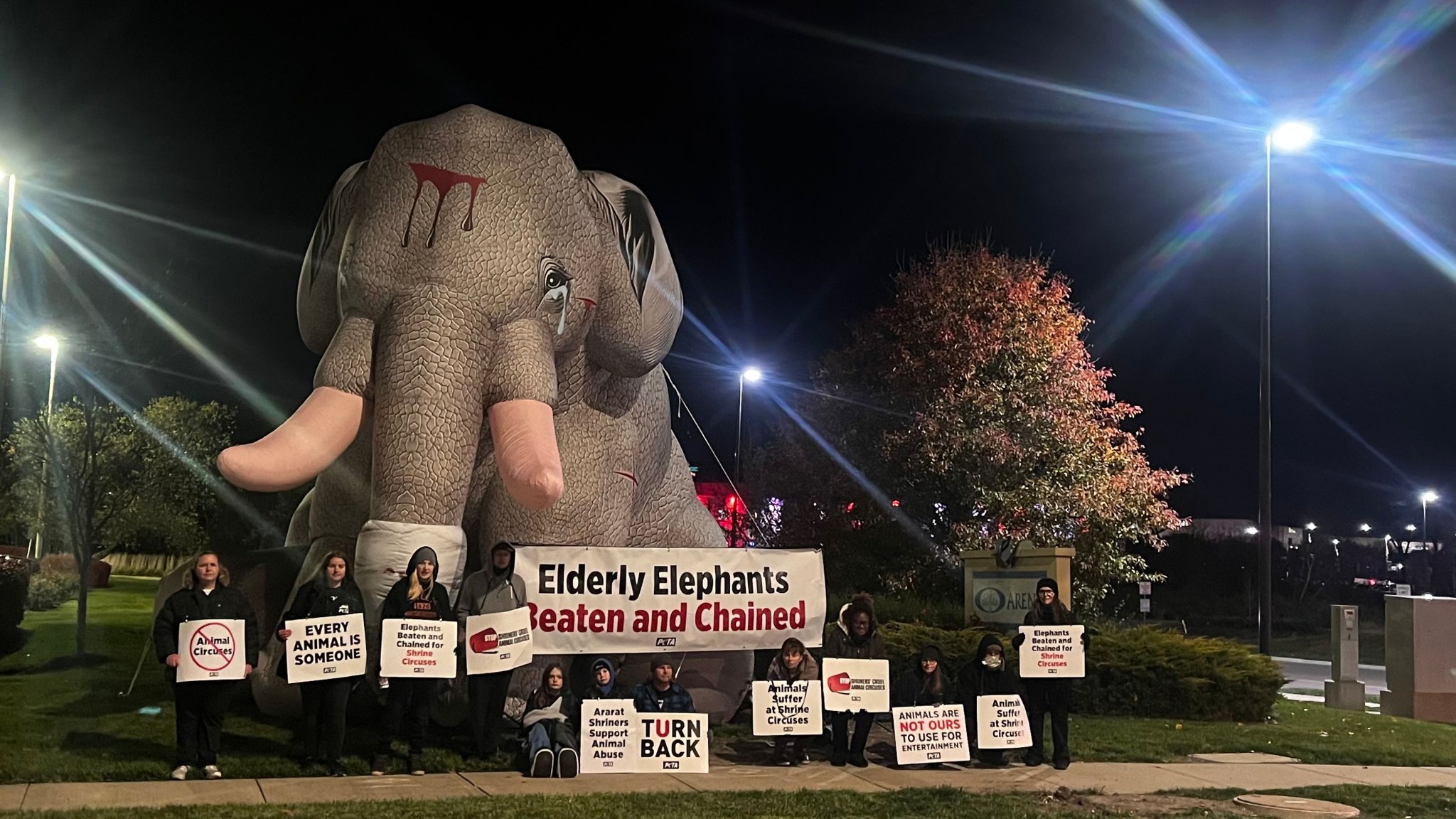 What Does PETA Do to Help Animals in Shrine Circuses? | Blog