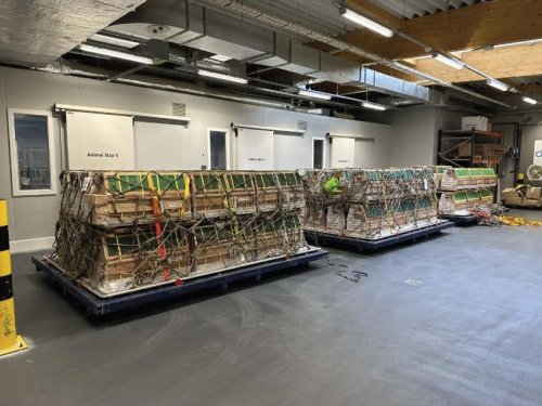 Blood, Feces, and Death: Photos Reveal Grim Reality for Monkeys ...