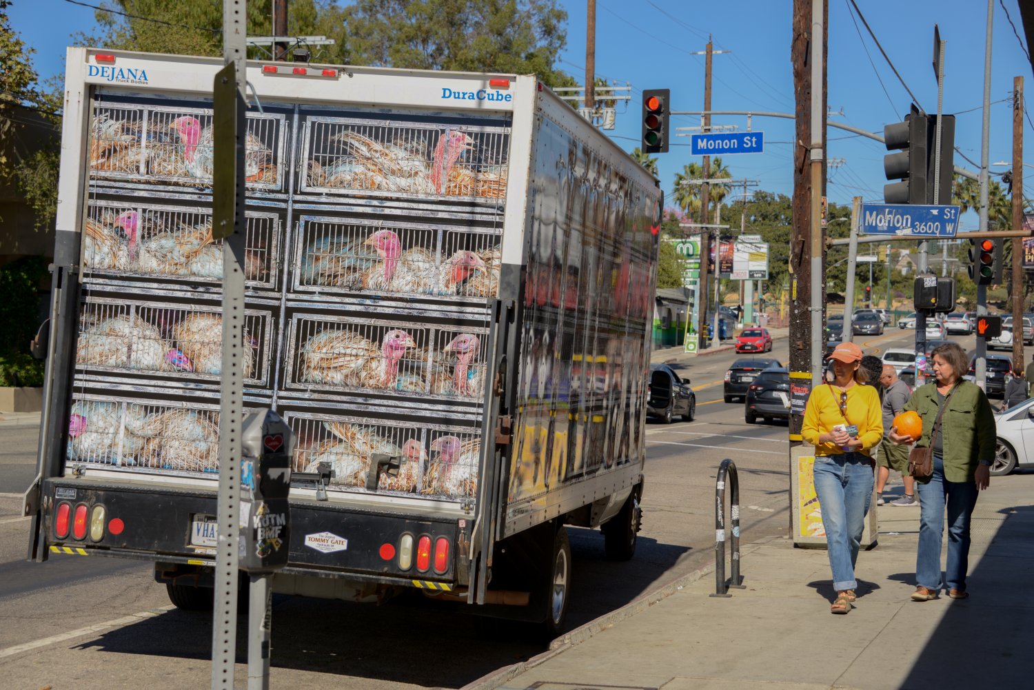 PETA Kicks Off Its First Annual “Give Birds a Break” Tour | PETA