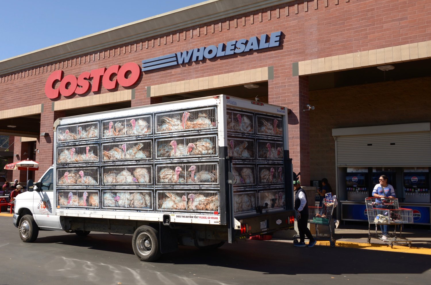 PETA Kicks Off Its First Annual “Give Birds a Break” Tour | PETA