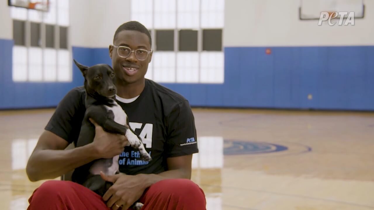 NBA Star Jalen Smith Lays Down ‘Three-Pointers’ for Dog Guardians | PETA