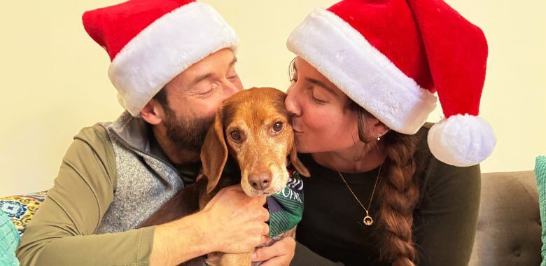 A Beagle’s First Christmas: Bye-Bye, Galax—Time to Relax! | PETA