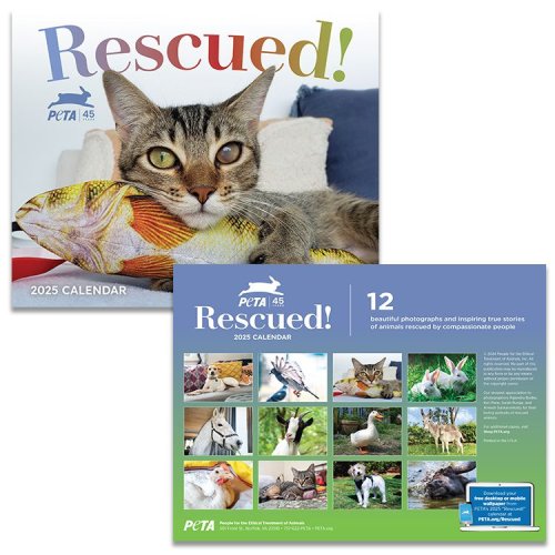 10+ Animals PETA Rescued in 2024: Where Are They Now? | PETA