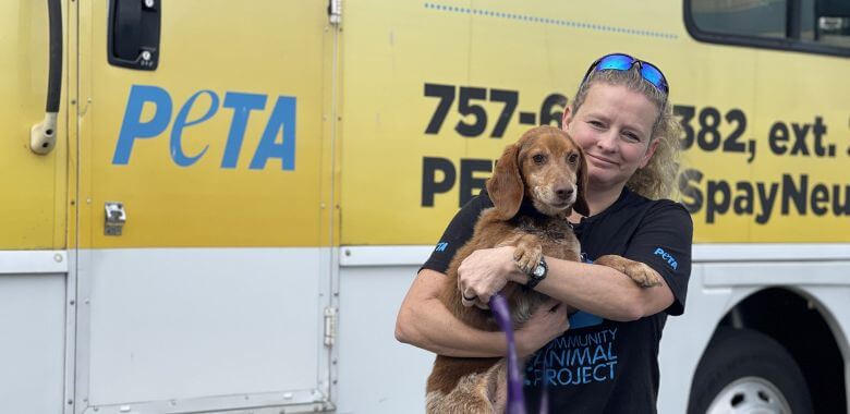 10+ Animals PETA Rescued in 2024: Where Are They Now? | PETA