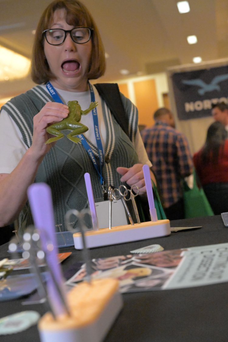 “It’s a Gamechanger!” TeachKind Science Brings King Frog to Educators ...