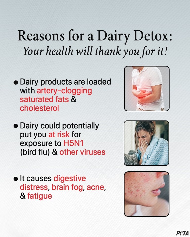 Here’s How a Dairy Detox Can Change Your Life | PETA