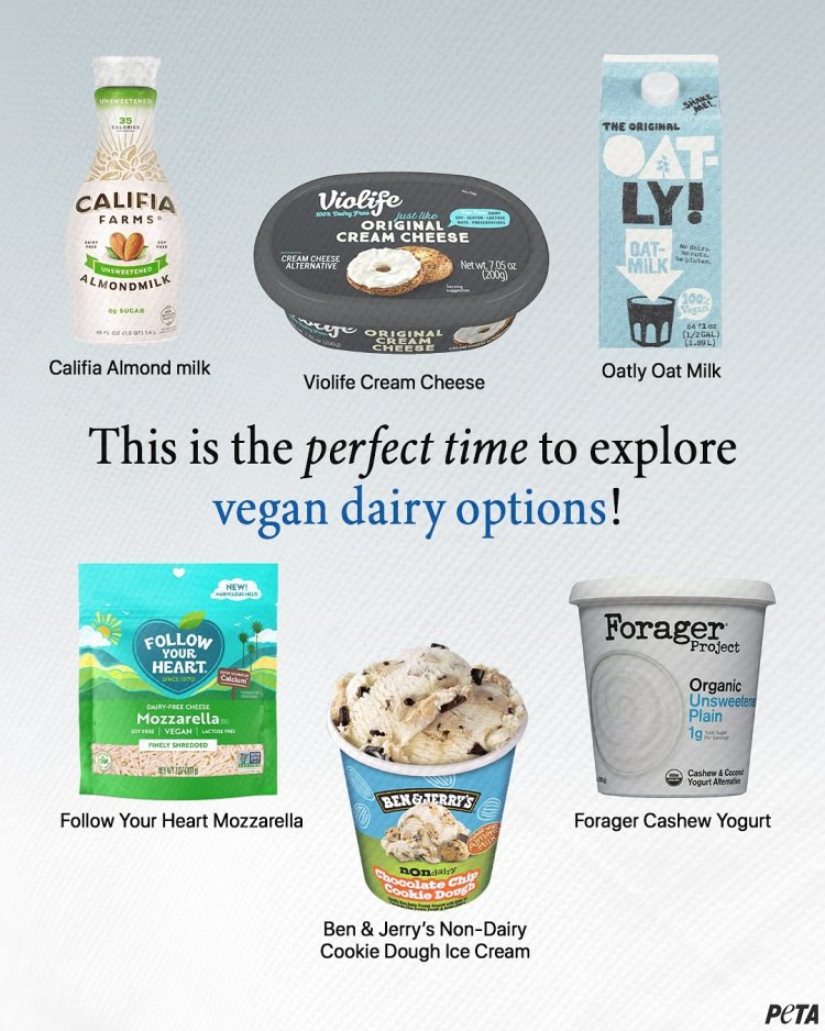 Here’s How a Dairy Detox Can Change Your Life | PETA