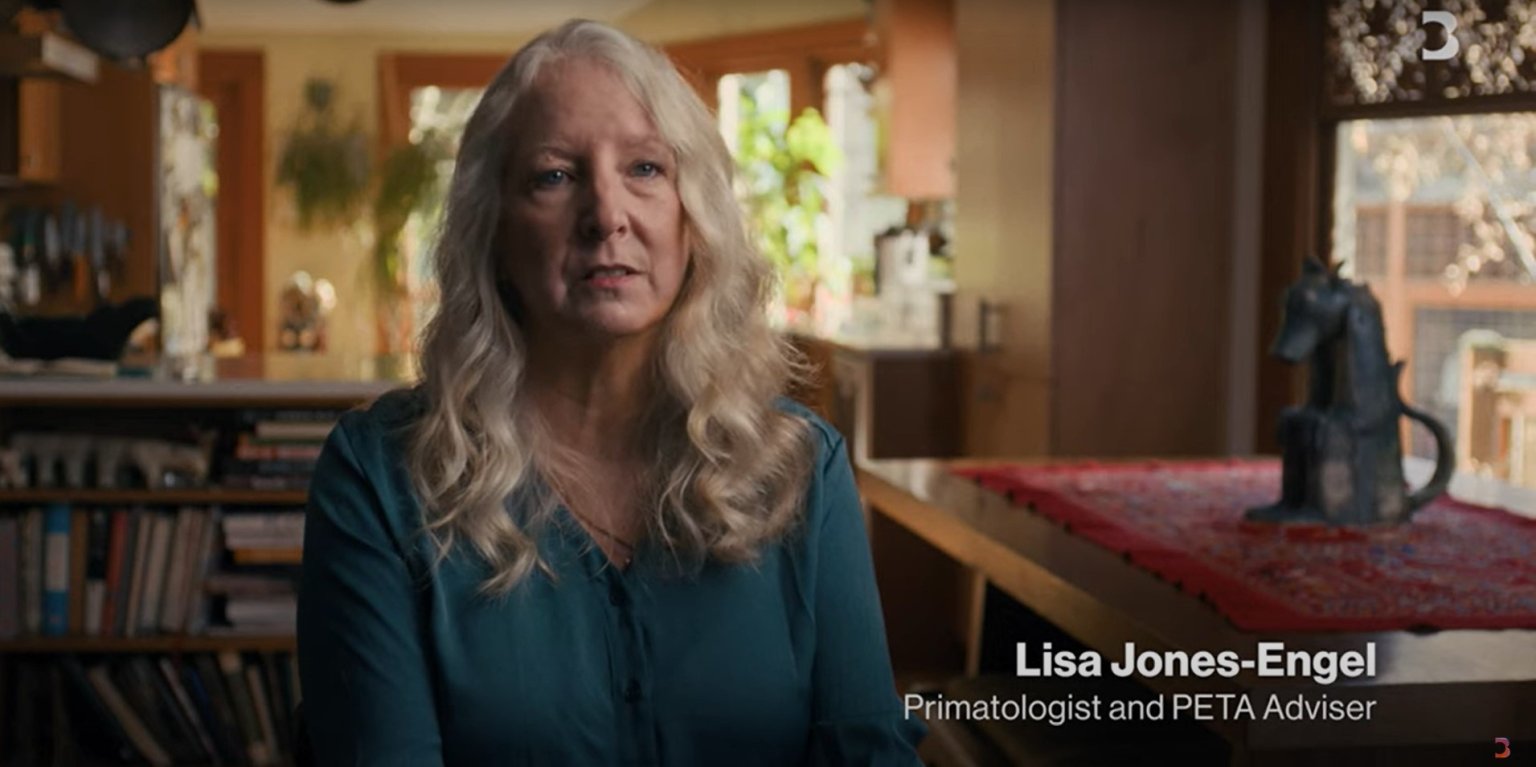 And the Emmy Goes to … a Documentary Featuring a PETA Scientist! | PETA