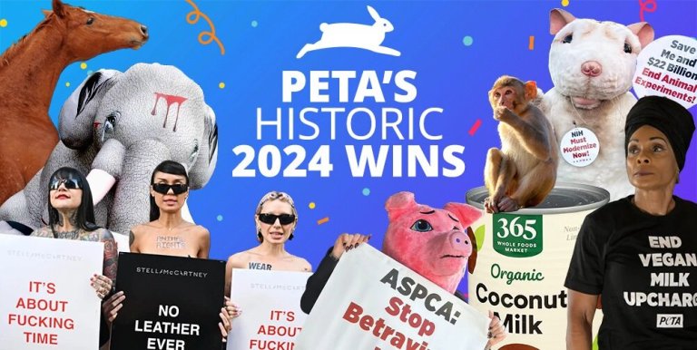 People for the Ethical Treatment of Animals (PETA)