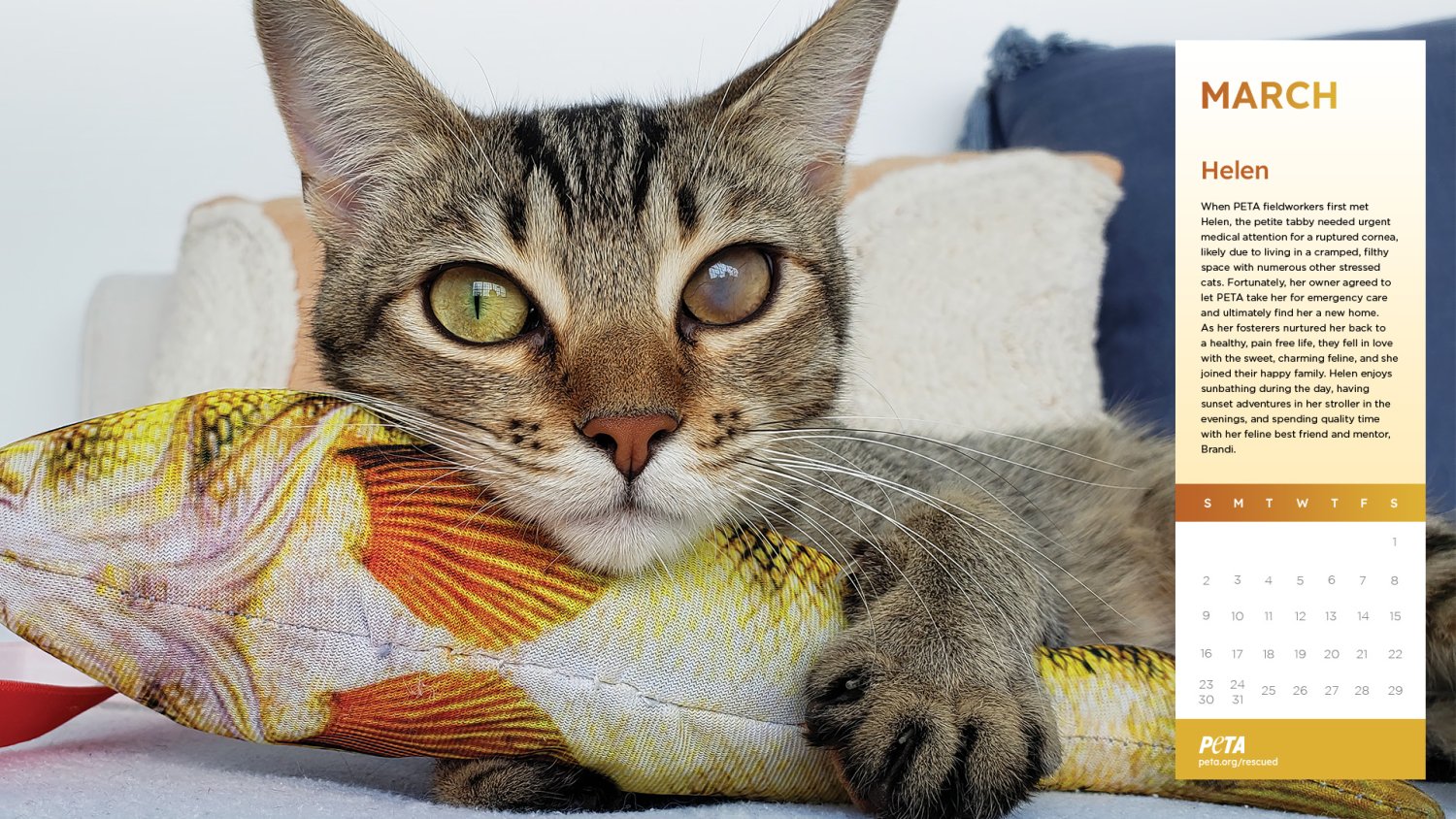 Free 2025 'Rescued!' Desktop Wallpaper Calendars for Teachers | TeachKind