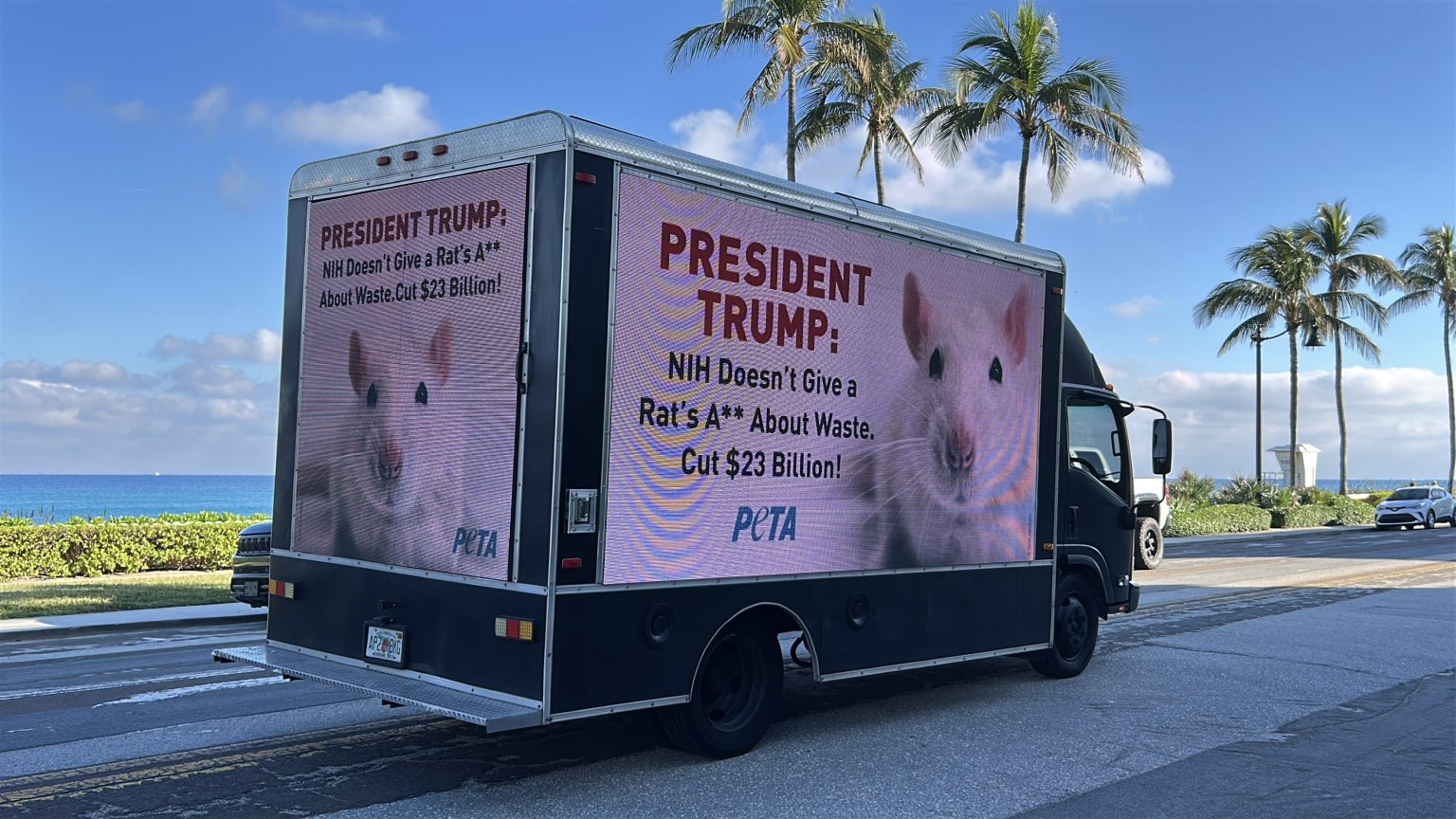 PETA to President Trump: NIH Doesn’t Give a Rat’s A** About Waste—Cut ...