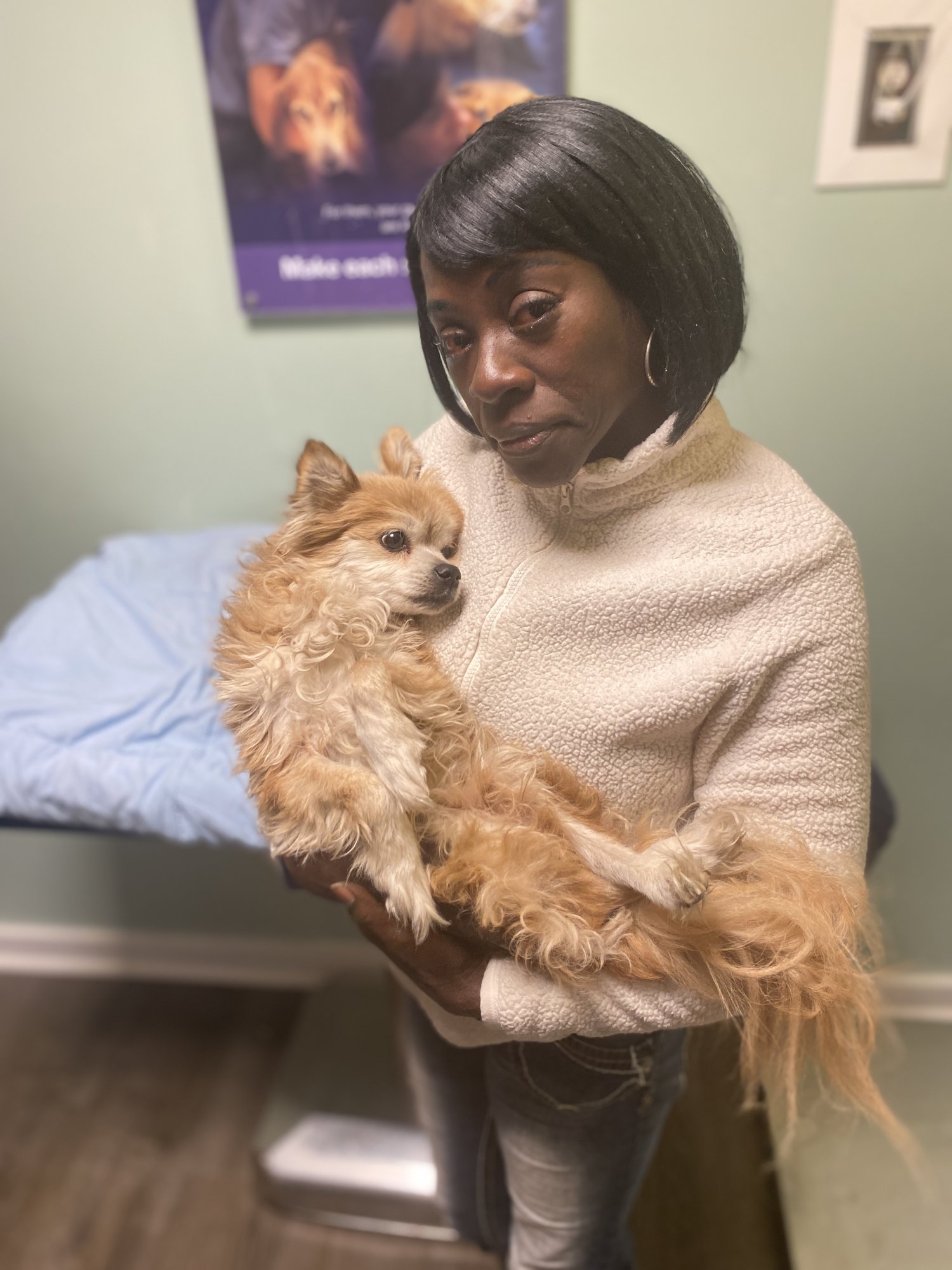 2024 Wrap-Up: Disaster Relief, Doghouses, and More | PETA